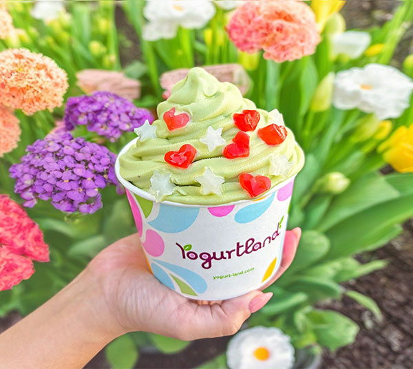 Yogurtland: Home