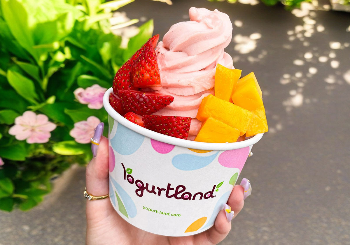 Yogurtland: Home