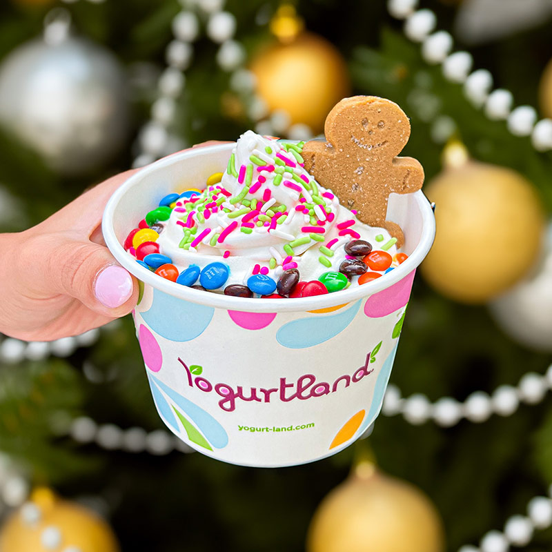 Yogurtland: Home