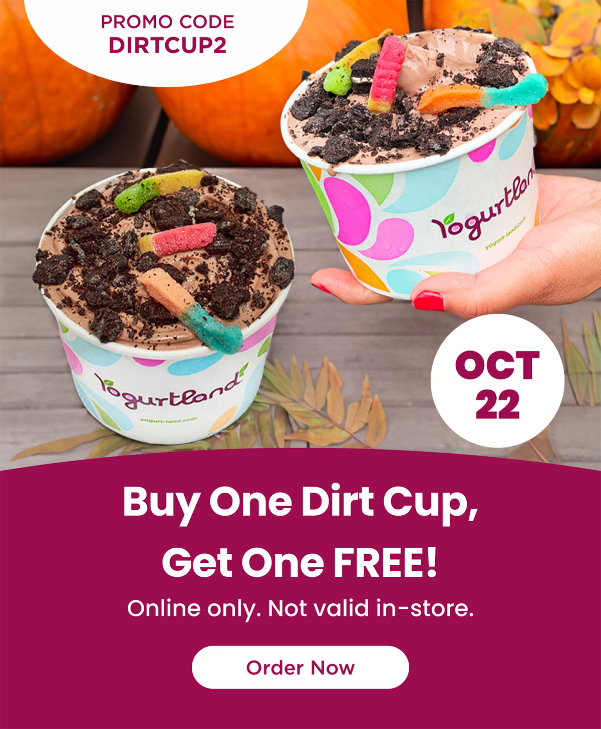 Yogurtland: Home