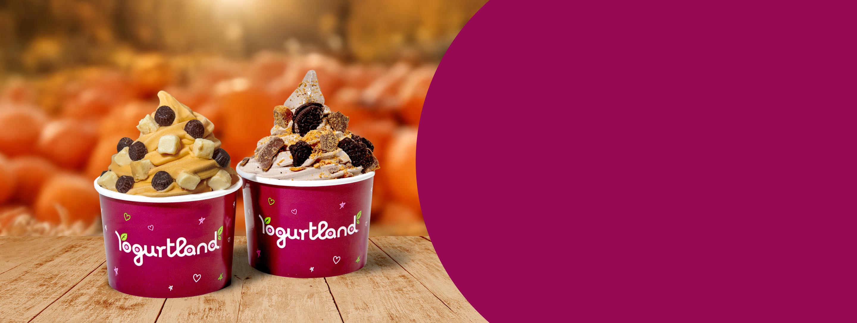Yogurtland: Home